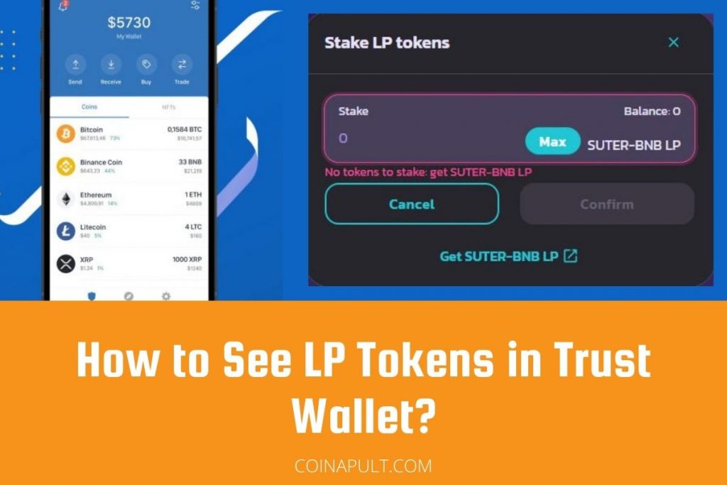 How to See LP (Liquidity Provider) Tokens in Trust Wallet? - Coinapult