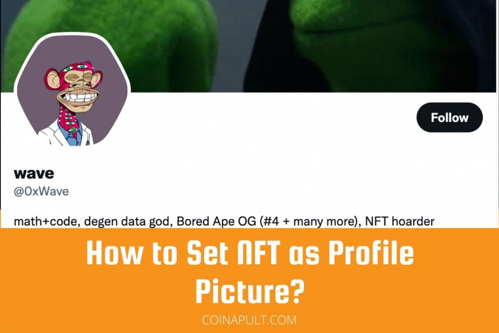 How to Set NFT as Profile Picture on Twitter? - Coinapult