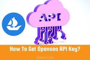 How To Get Opensea API Key? (Easiest Way) - Coinapult