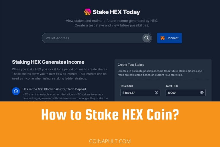 How to Stake HEX Coin? - Coinapult
